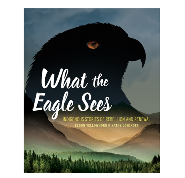 What the Eagle Sees | Yellowstone Forever