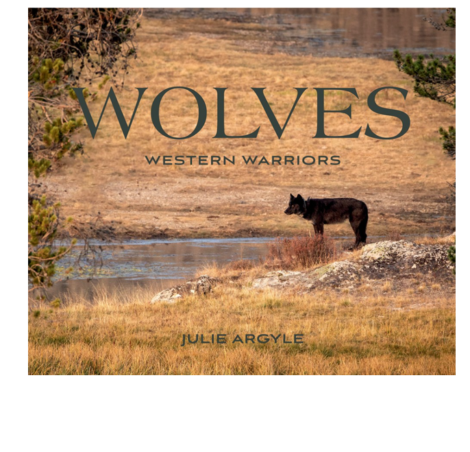 Wolves: Western Warriors | Yellowstone Forever