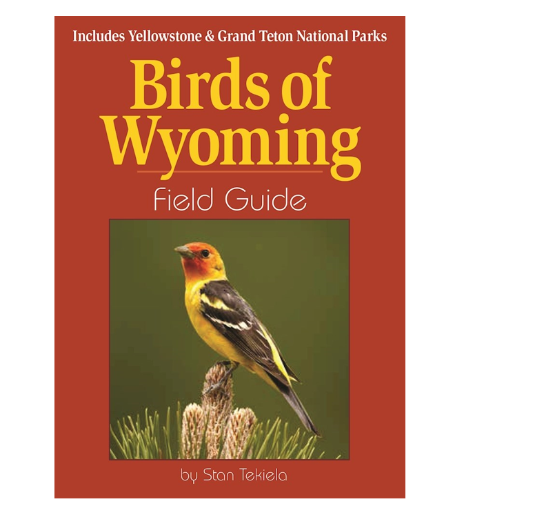 Birds of Wyoming | Yellowstone Forever