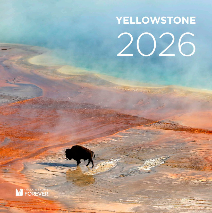 2026 Yellowstone Forever Calendar | Yellowstone Forever