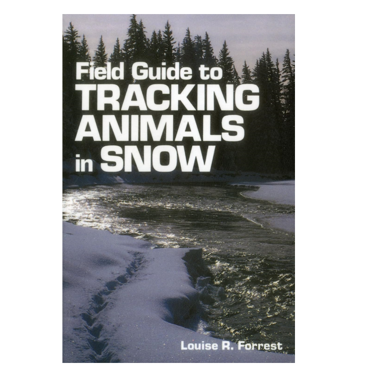 Field Guide to Tracking Animals in Snow | Yellowstone Forever