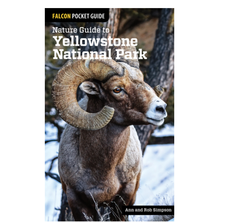 Yellowstone National Parks Books | Yellowstone Forever