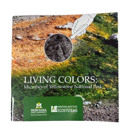 Living Colors: Microbes of Yellowstone | Yellowstone Forever