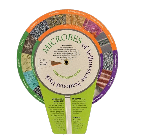 Microbe Data Wheel | Yellowstone Forever