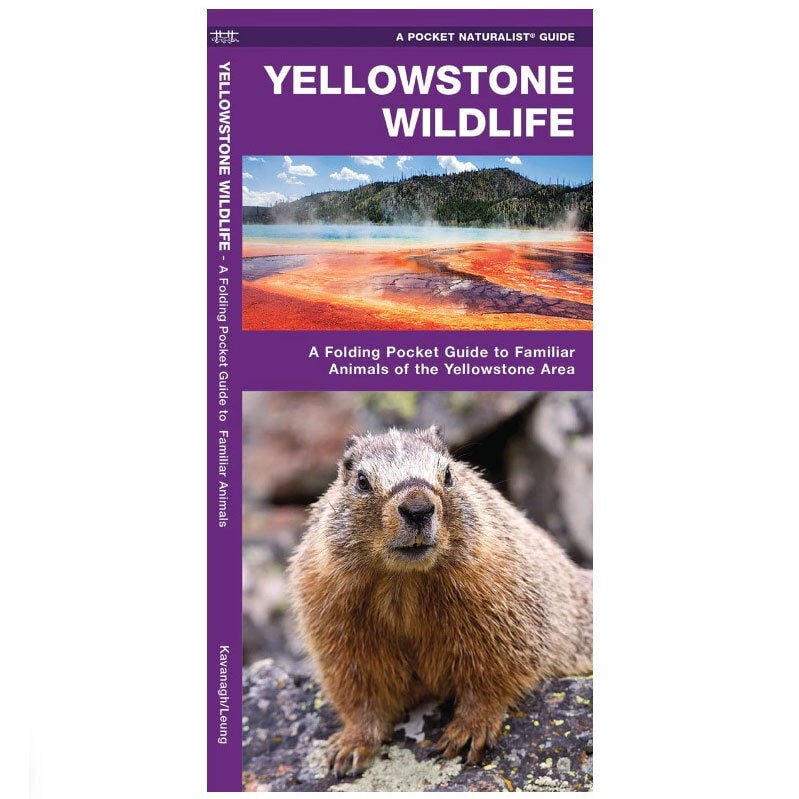 Wildlife Pocket Guide | Yellowstone Forever