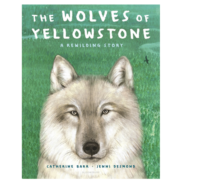 The Wolves of Yellowstone: A Rewilding Story | Yellowstone Forever