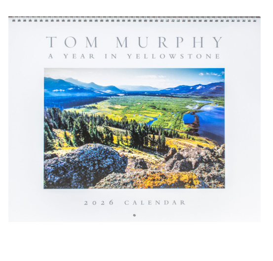 2026 Tom Murphy Calendar | Yellowstone Forever