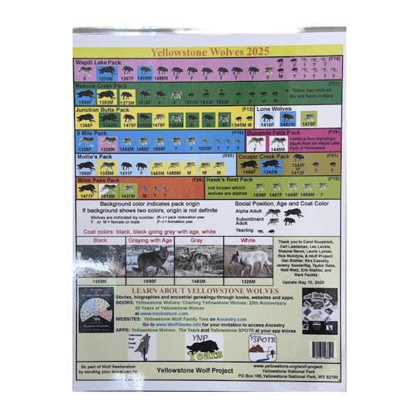 2025 Wolf Identification Chart | Yellowstone Forever