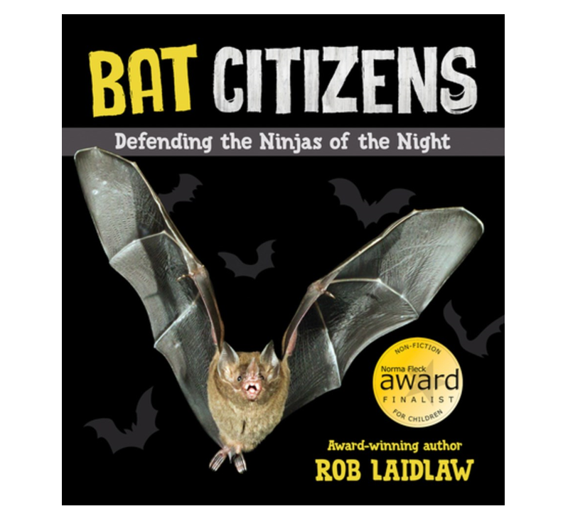 Bat Citizens | Yellowstone Forever
