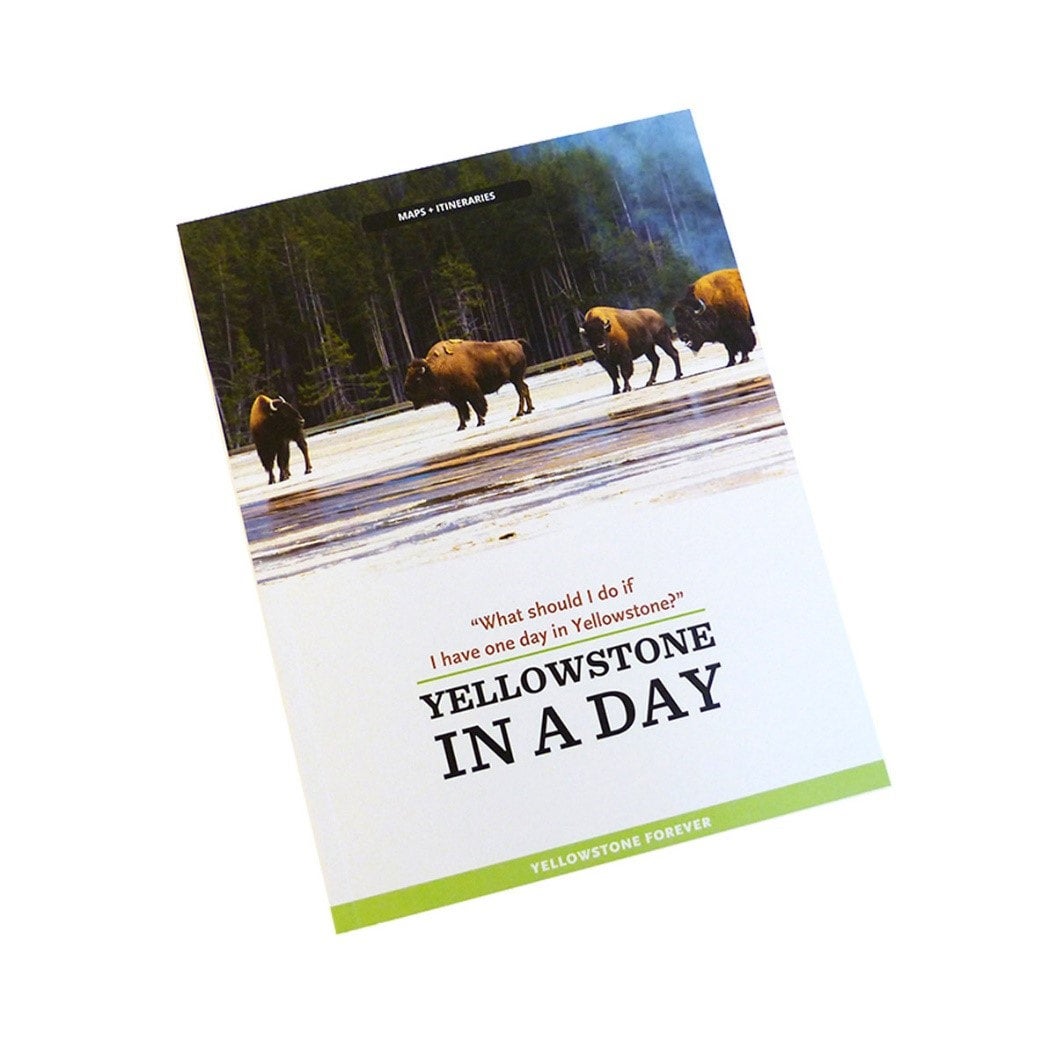 Yellowstone in a Day | Yellowstone Forever