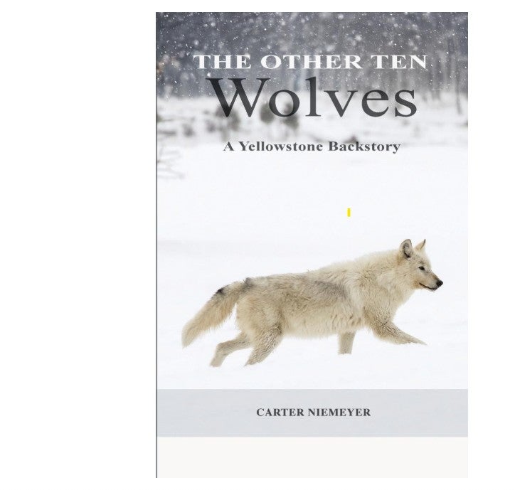 The Other Ten Wolves | Yellowstone Forever