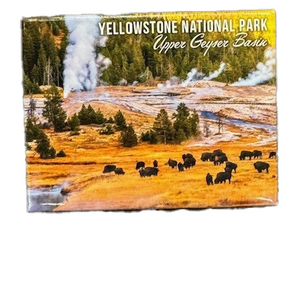 Bison Grazing at Upper Geyser Basin Magnet | Yellowstone Forever