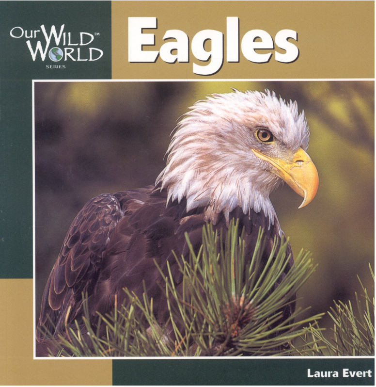 Book- Our Wild World: Eagles | Yellowstone Forever