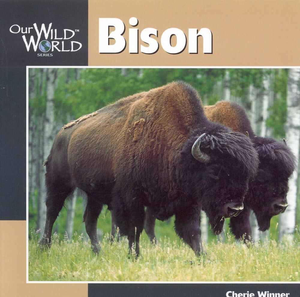 Book- Bison: Our Wild World | Yellowstone Forever