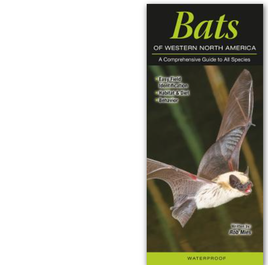 Guide- Bats of Western North America | Yellowstone Forever