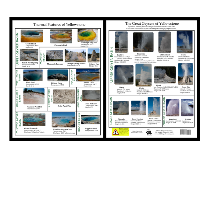 Guide- Thermal Features Of Yellowstone Laminated Guide | Yellowstone ...