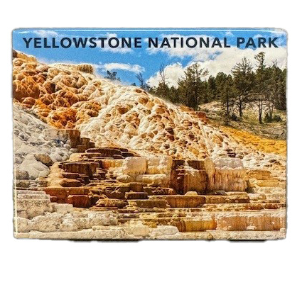Magnet- Travertine Terraces Badge | Yellowstone Forever